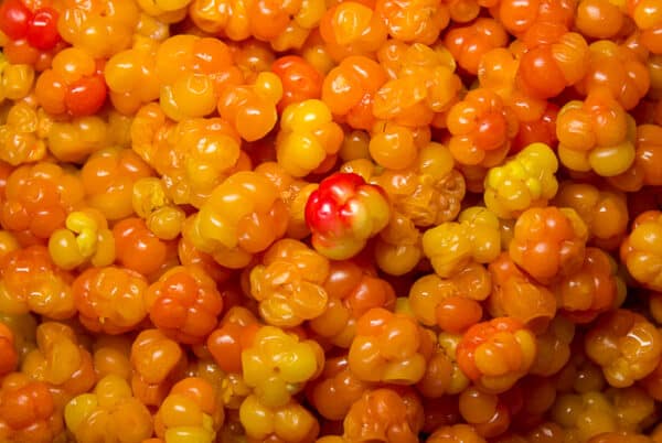 Bakeapple (Cloudberry) Chicken Curry - Rock Recipes