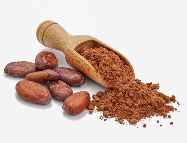 Fudge Sandwich Cookies aka Homemade Fudgee-O Cookies