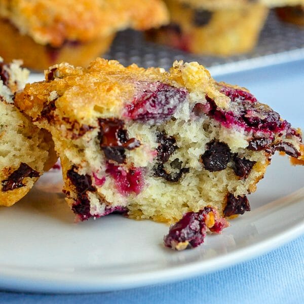 Best Muffin Recipes. 25 Favourites from over 17 yrs online at Rock Recipes!