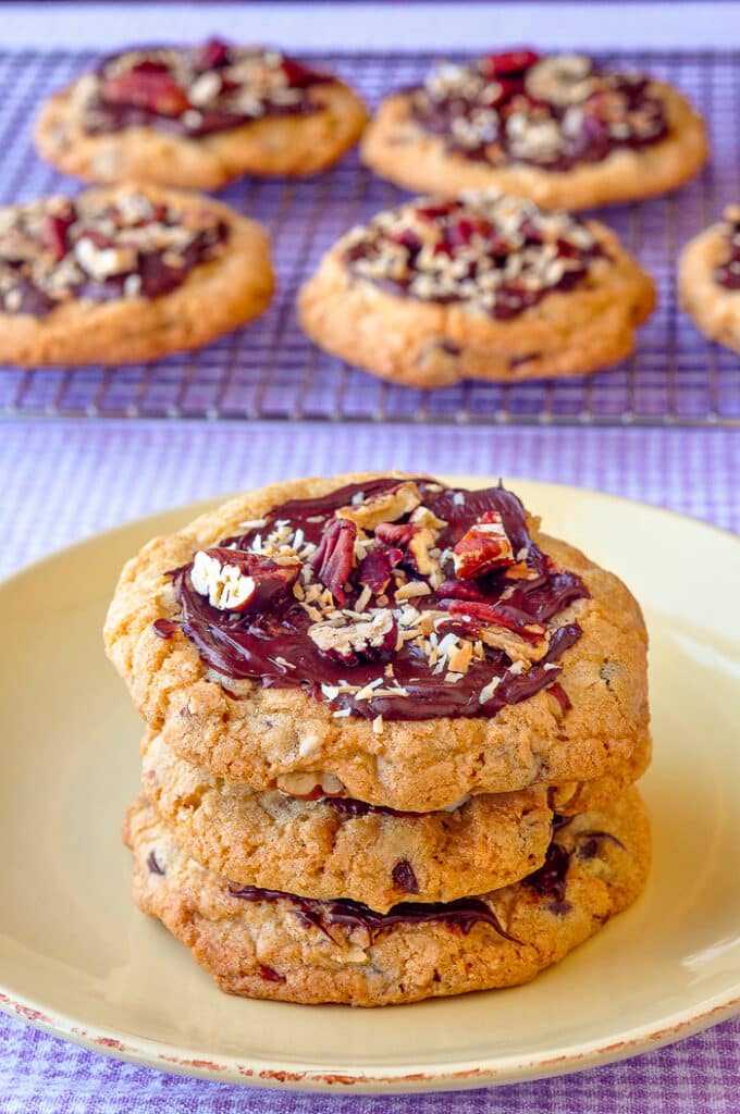 Chocolate Chip Coconut Pecan Cookies - crispy chewy good!