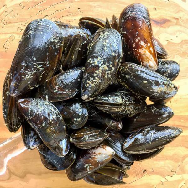 Manhattan Seafood Chowder with Chorizo & Roasted Vegetables