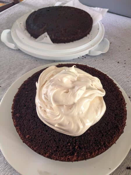 Jos Louis Cake a.k.a. Copycat Ding Dong Cake! So very tempting!!