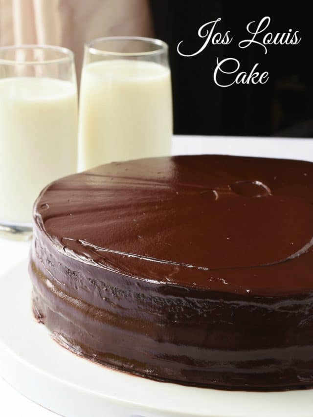 Jos Louis Cake a.k.a. Copycat Ding Dong Cake! Cake. So very tempting!!