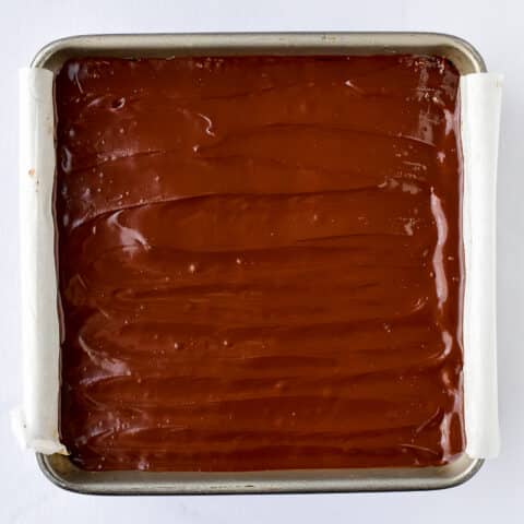 Coconut Dream Bars. A super easy recipe for coconut & chocolate lovers!!