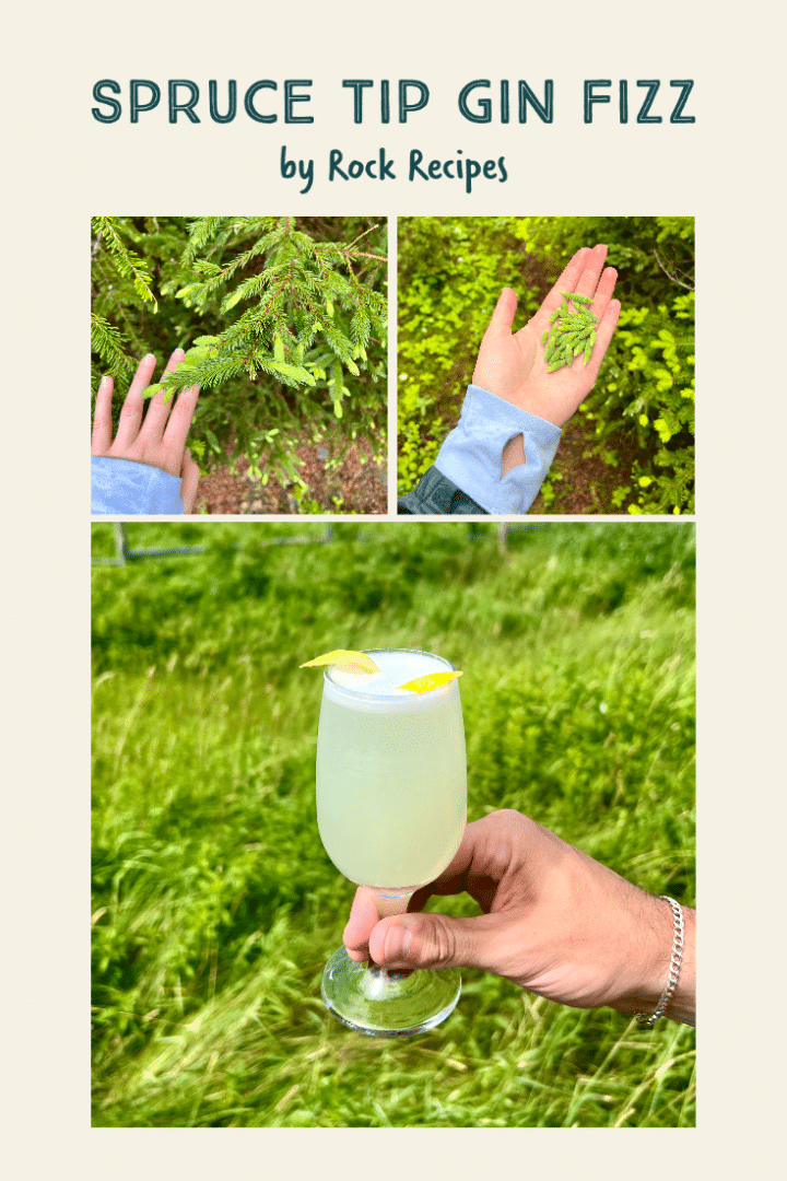 Spruce Tip Gin Fizz Cocktail. Substitute rosemary out of season!