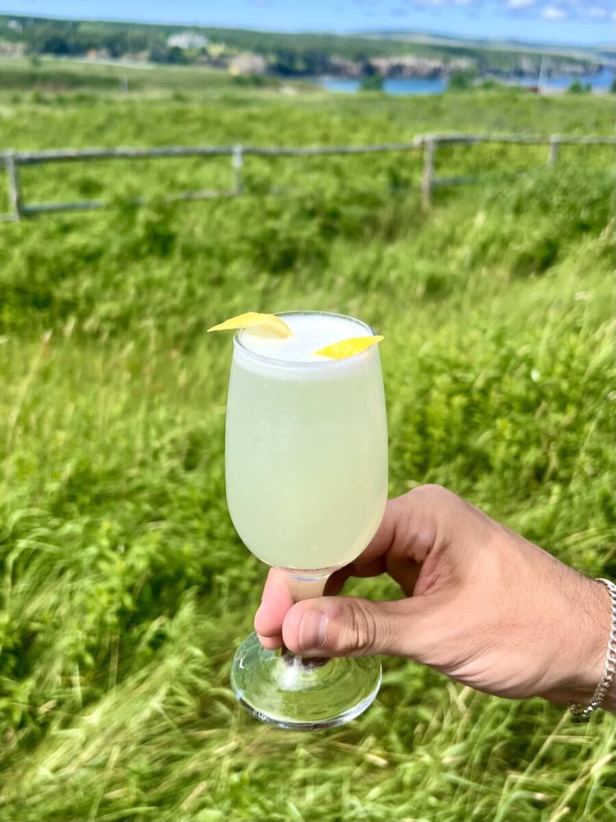 Spruce Tip Gin Fizz Cocktail. Substitute rosemary out of season!